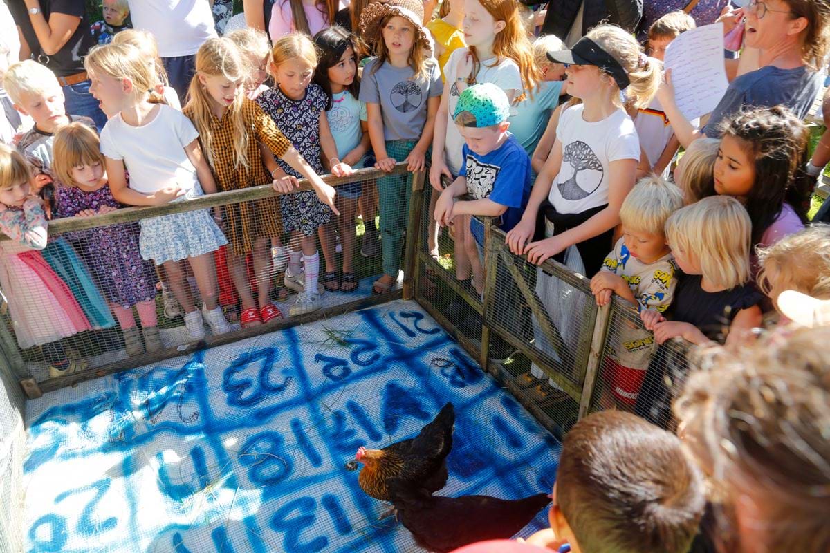 Musikfestivalen ”Under blodbøgen” styrker lokalsamfundet